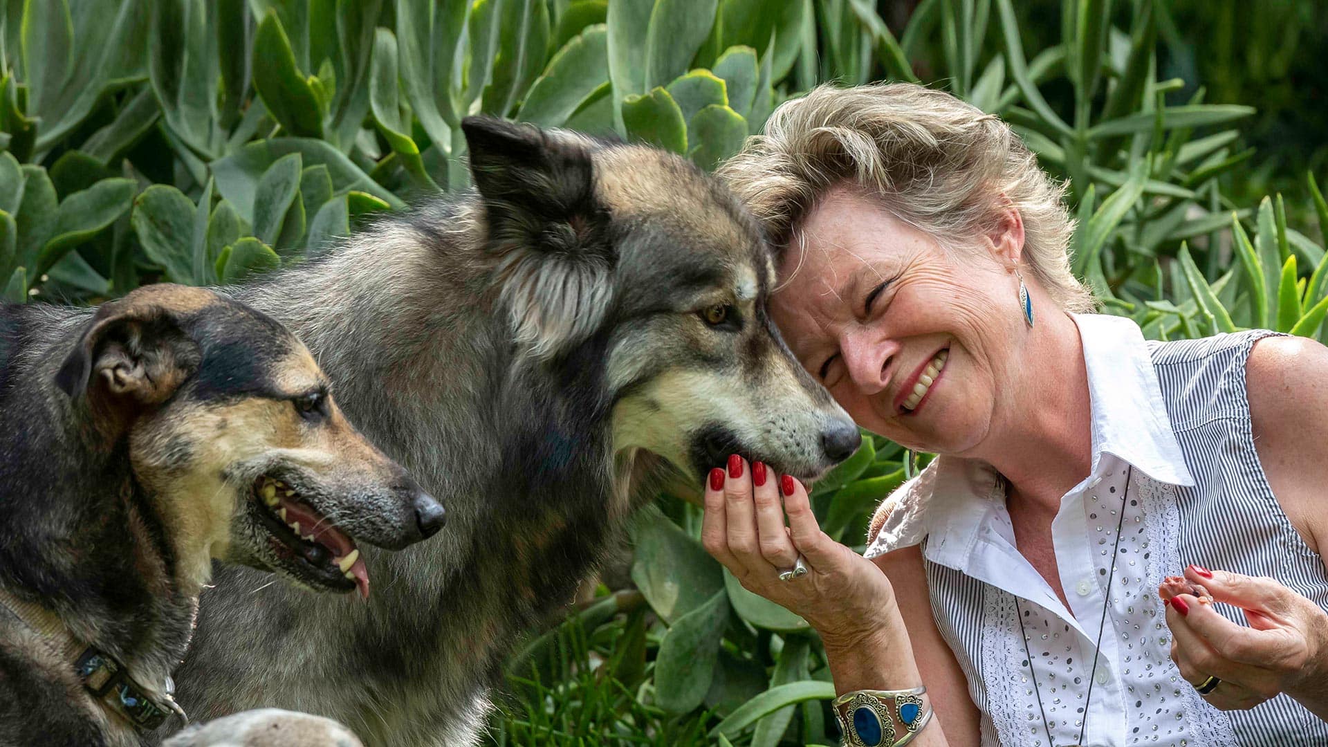 destructive habits & stress - Yvonne Munshi - expert in ...